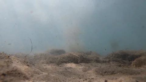 Slow motion underwater sea particles flo... | Stock Video | Pond5