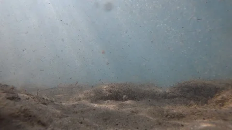 Slow motion underwater sea particles flo... | Stock Video | Pond5