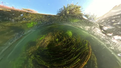 Slow-motion underwater shot with a view ... | Stock Video | Pond5
