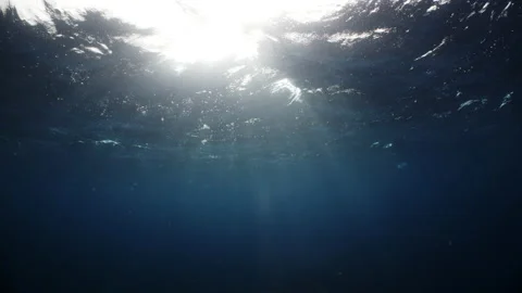 Slow motion underwater view of ocean sur... | Stock Video | Pond5