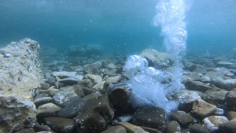 Slow motion underwater view of sea botto... | Stock Video | Pond5
