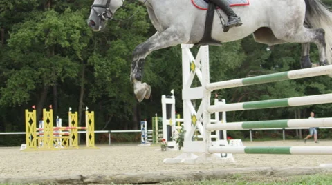 Horse Jumper Stock Videos – Royalty-Free HD & 4K Videos | Pond5