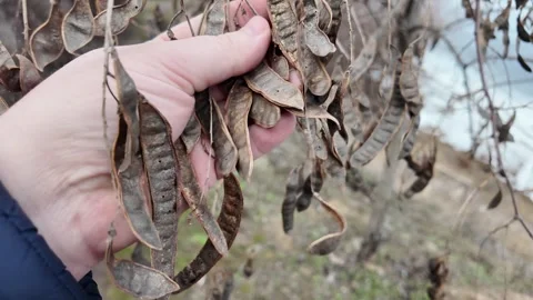 Dr Tub Stock Videos – Royalty-Free HD & 4K Videos | Pond5