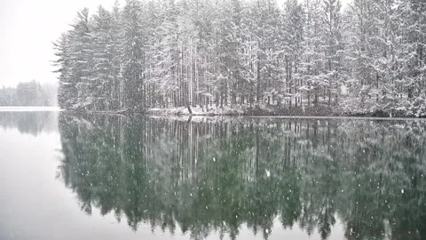 Slow motion video of falling snow on a l... | Stock Video | Pond5