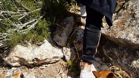 Video Of Uo Stock Videos – Royalty-Free HD & 4K Videos