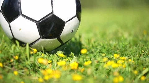 Slow motion of a vintage soccer ball bou... | Stock Video | Pond5