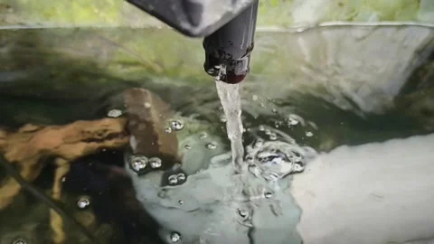 Slow motion of water flows in the fish p... | Stock Video | Pond5