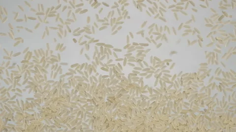 Slow motion. A whole grain of rice flyin... | Stock Video | Pond5