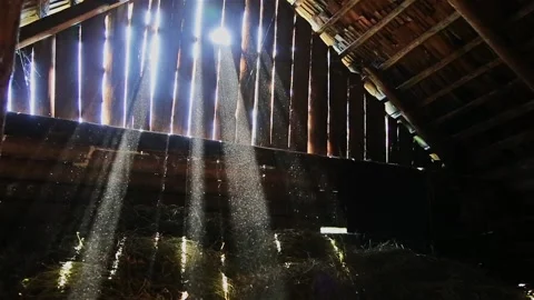 Slow movement of dust on the light rays ... | Stock Video | Pond5