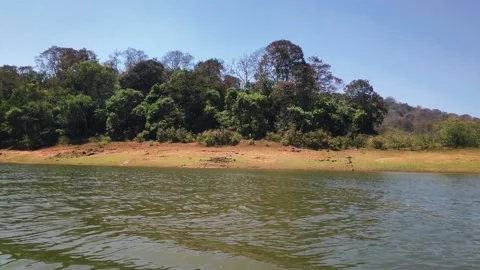Slow Moving Boat In The Wild Forest Rive... | Stock Video | Pond5