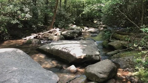 Slow moving stream in North Carolina thr... | Stock Video | Pond5