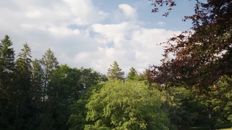 Slow pan left to right across peaceful f... | Stock Video | Pond5