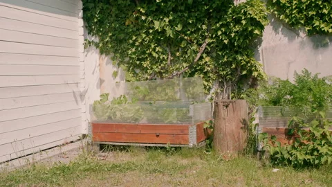 Slow pan from left to right showing rais... | Stock Video | Pond5