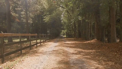 Pull Motion Stock Videos – Royalty-Free HD & 4K Videos