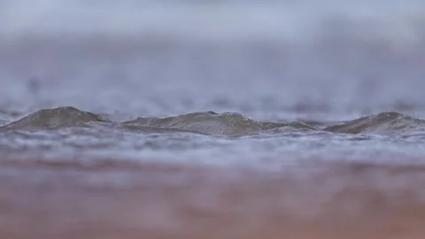 Tide Wave Back Stock Videos – Royalty-Free HD & 4K Videos