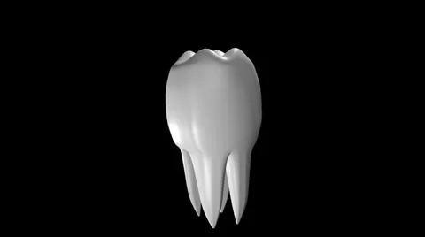 SLOW TOOTH LOOPABLE ANIMATION WITH ALPHA... | Stock Video | Pond5