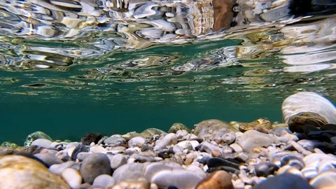 SLOWMO Underwater view of a clean river | Stock Video | Pond5