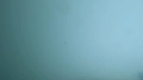 SLOWMO Underwater view of rock falling i... | Stock Video | Pond5