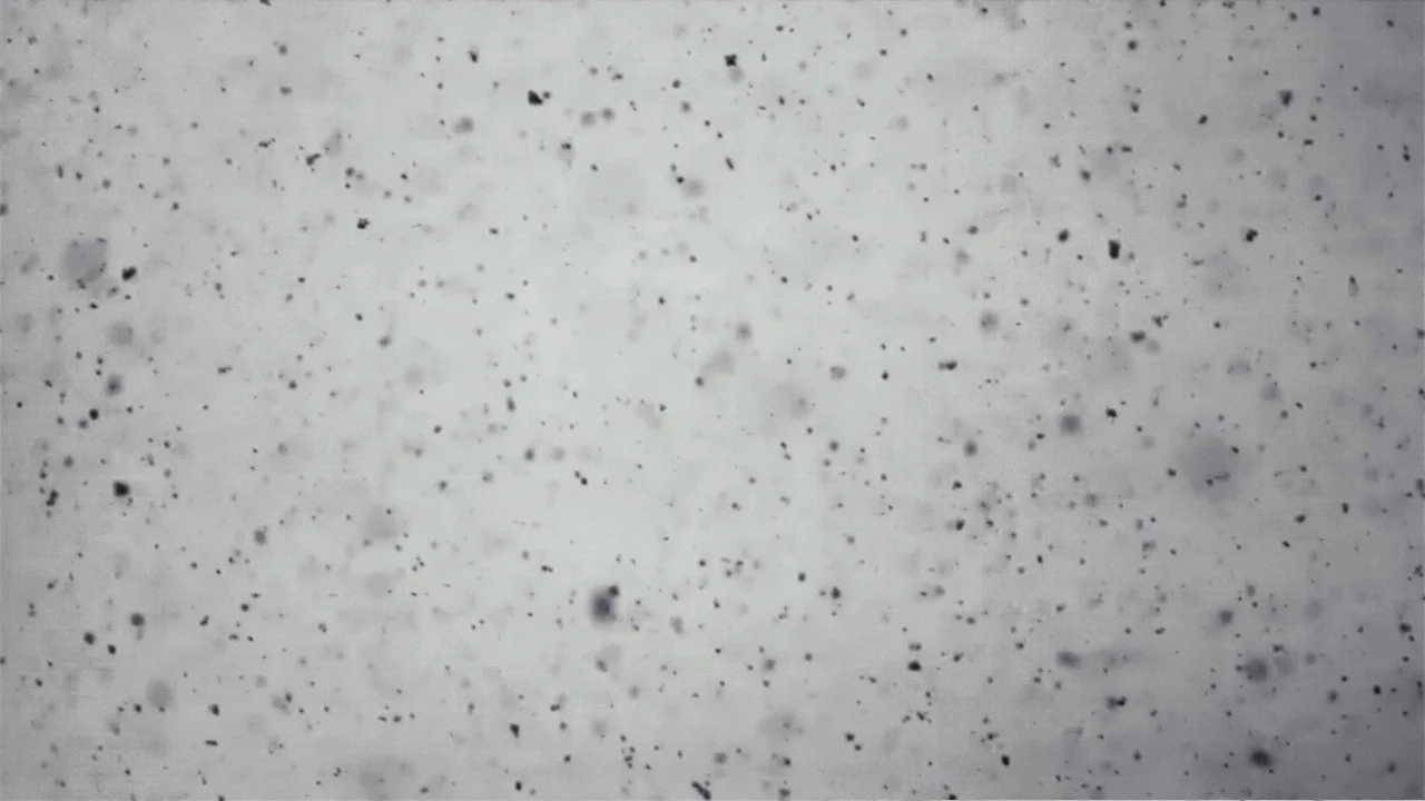 Ashes Falling From The Sky