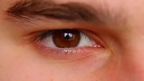 Evil Guy Stock Video Footage | Royalty Free Evil Guy Videos | Pond5