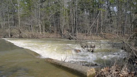 Small babbling river rapids with scenic ... | Stock Video | Pond5
