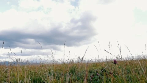Small boy running by the camera during w... | Stock Video | Pond5