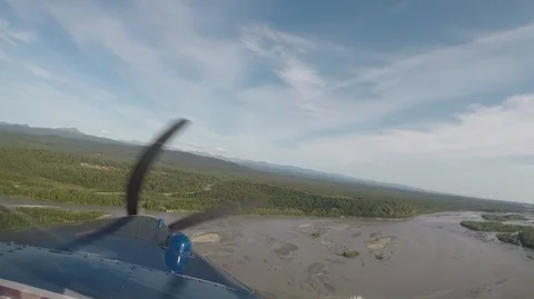 Bush Denali Stock Videos – Royalty-Free HD & 4K Videos | Pond5