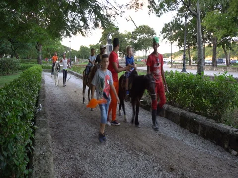 Riding Ponies Stock Videos – Royalty-Free HD & 4K Videos | Pond5