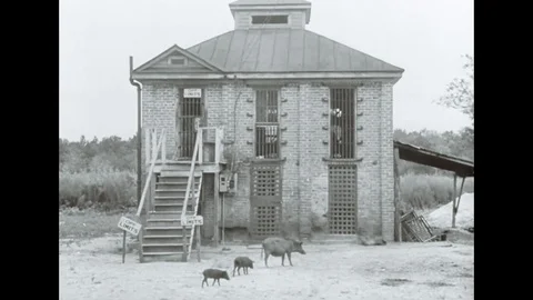 Small Country House Jail For Infected Wo... | Stock Video | Pond5