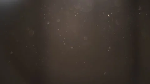 Small dust particles floating in the mor... | Stock Video | Pond5