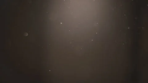 Small dust particles floating in the mor... | Stock Video | Pond5