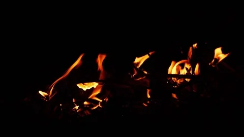 Small fire flames of burning dry woods, ... | Stock Video | Pond5