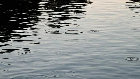 River Se Stock Videos – Royalty-Free HD & 4K Videos