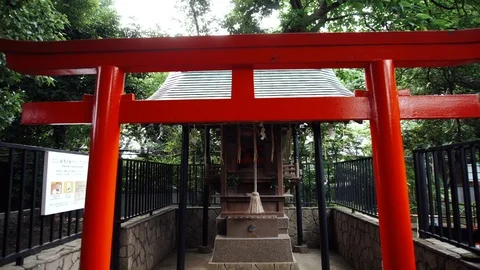 People Gate Small Stock Videos – Royalty-Free HD & 4K Videos | Pond5