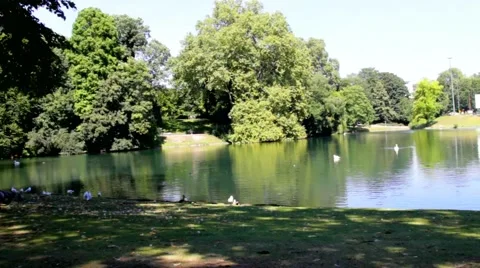 Little Guests Stock Videos – Royalty-Free HD & 4K Videos