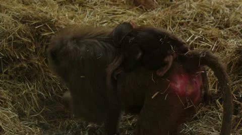 Clinging Hair Stock Videos – Royalty-Free HD & 4K Videos