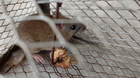 Panick Stock Footage ~ Royalty Free Stock Videos | Pond5