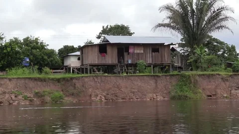 Amazon Jungle Stock Videos – Royalty-Free HD & 4K Videos