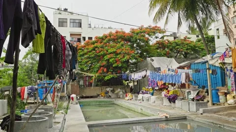 Small Laundromat Stock Videos – Royalty-Free HD & 4K Videos