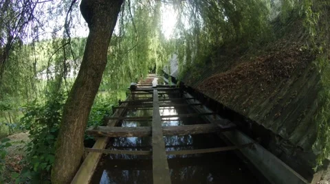 a small reservoir under the green tree i... | Stock Video | Pond5