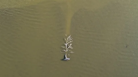 A small ripple on the surface of the wat... | Stock Video | Pond5