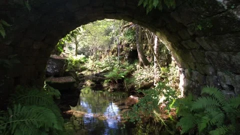 Small Stone Bridge over the River. Natur... | Stock Video | Pond5