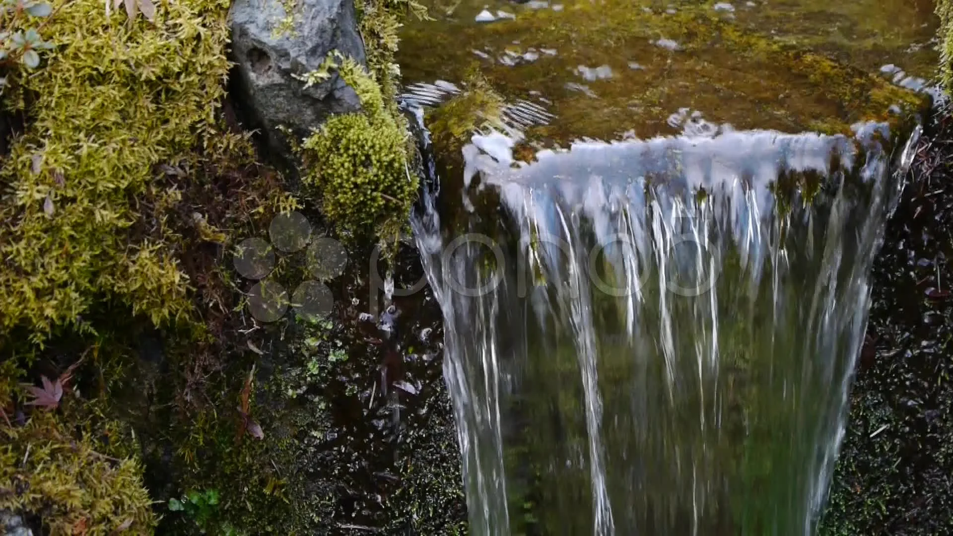Japanese Small Waterfall Siraito Falls】famous Waterfall That