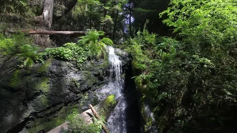 Small Waterfall in the Woods, Side Angle... | Stock Video | Pond5