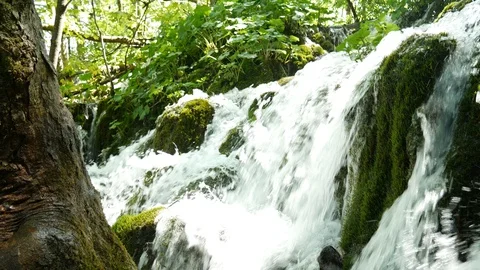 Small waterfalls among the trees on the ... | Stock Video | Pond5