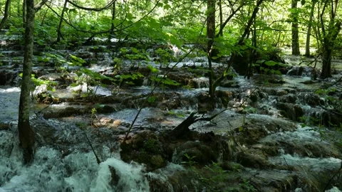 Small waterfalls among the trees on the ... | Stock Video | Pond5