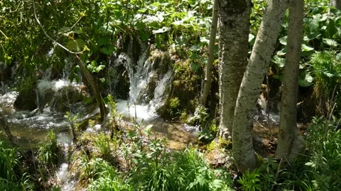 Small waterfalls among the trees on the ... | Stock Video | Pond5