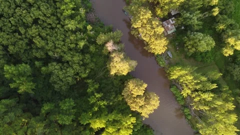 Small Waterway in Amazon Rainforest at S... | Stock Video | Pond5