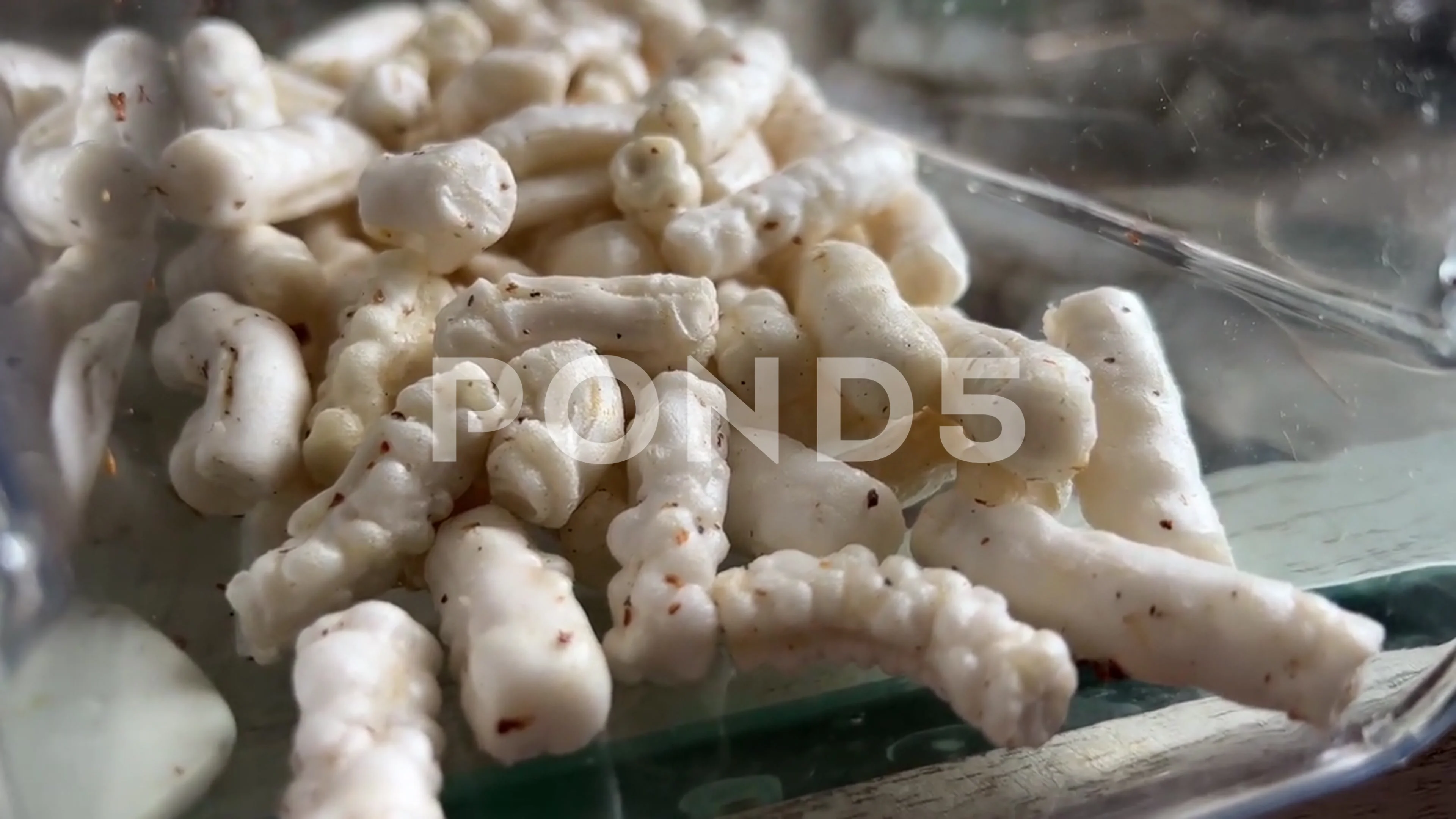 White Cracker's Instagram, Twitter & Facebook on IDCrawl