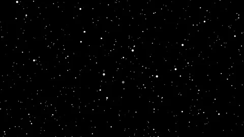 Small white particles flying isolated on... | Stock Video | Pond5